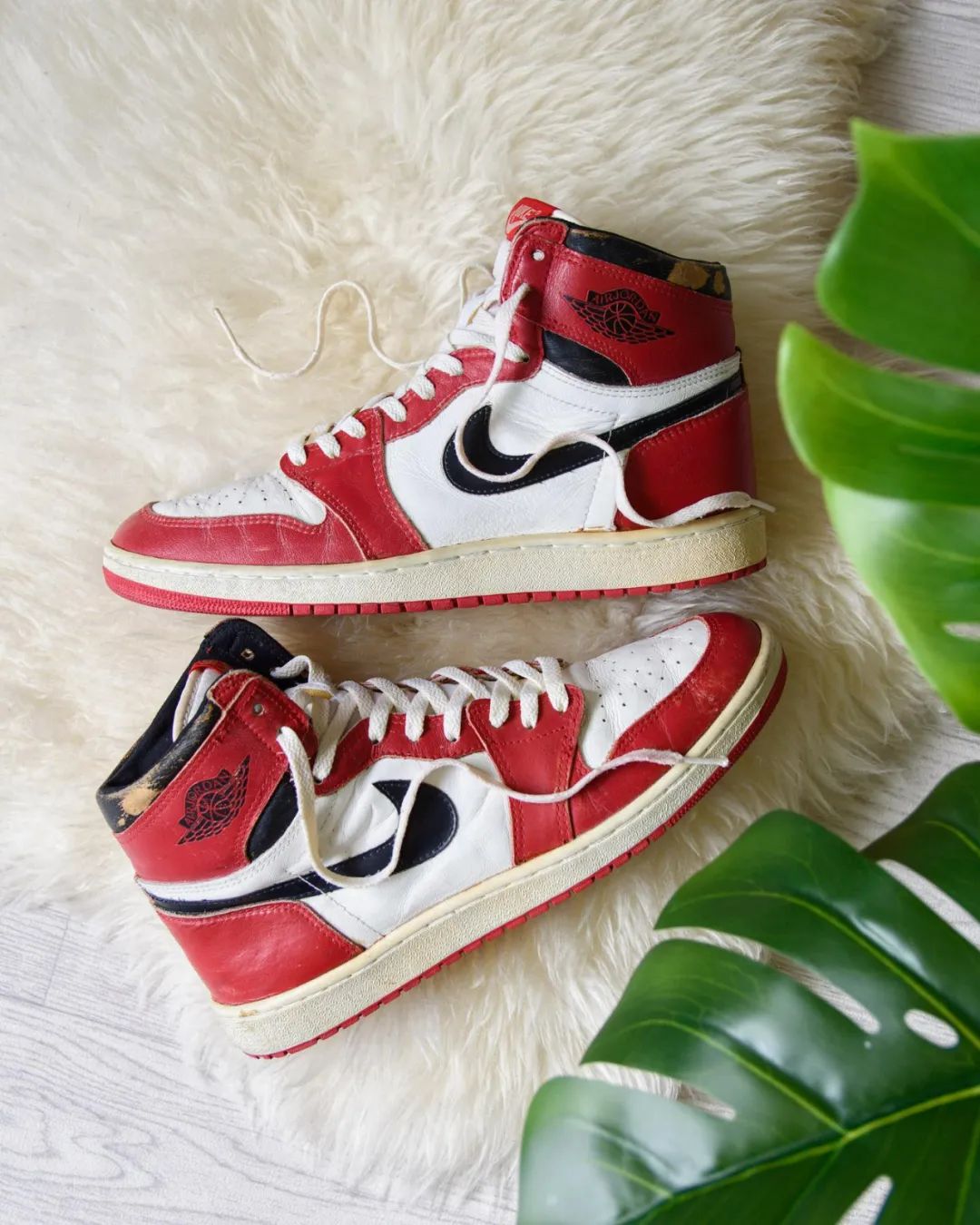 一夜涨1000！Air Jordan 1「芝加哥」怎么起飞了？？？？__财经头条