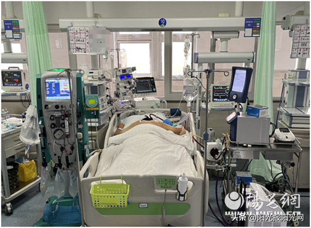 “救命神器”ECMO成功“抢”回重症患者生命|ECMO_新浪新闻