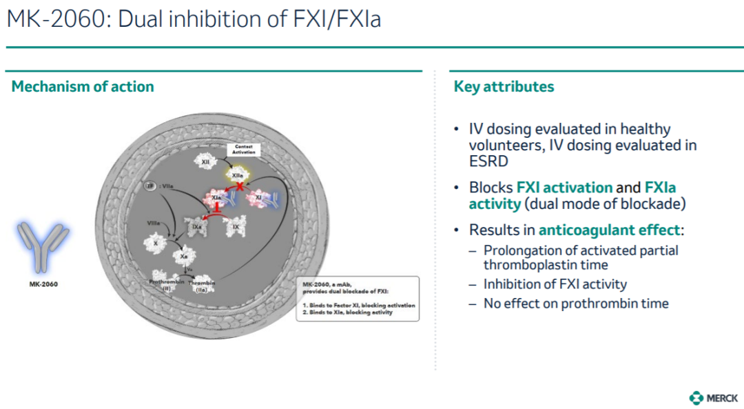 速递！默沙东凝血因子XI抑制剂在中国获批临床__财经头条
