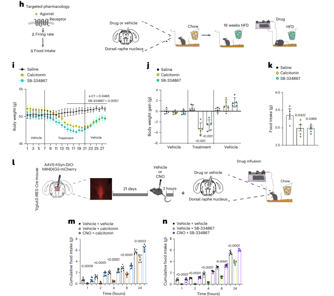Nat Metabolism：减肥，可靶向这类神经元__财经头条