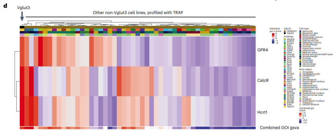 Nat Metabolism：减肥，可靶向这类神经元__财经头条