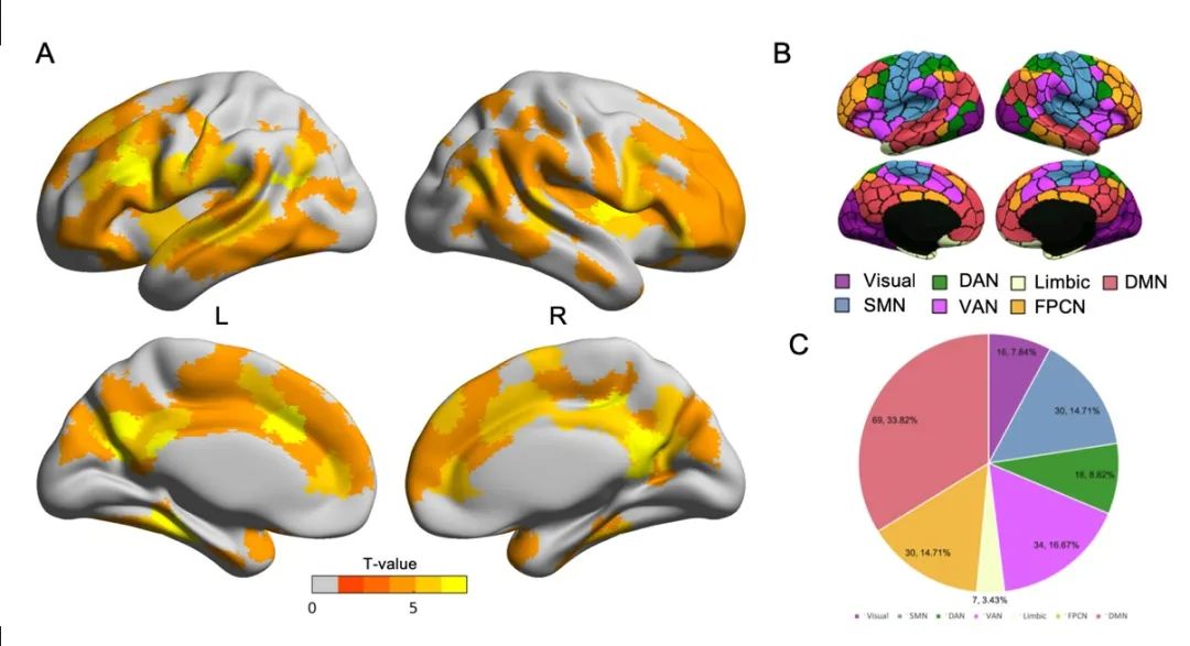 Neuroimage：严超赣团队刻画静息态自发思维的大脑表征模式|中国科学院_新浪新闻