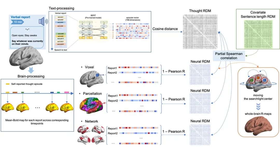 Neuroimage：严超赣团队刻画静息态自发思维的大脑表征模式__财经头条