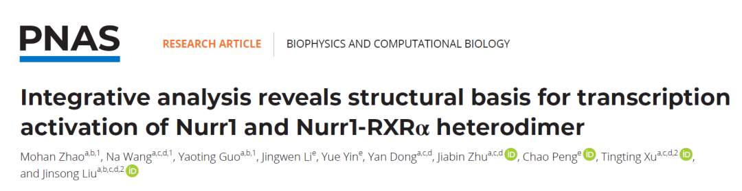 PNAS：刘劲松团队解析帕金森病靶点Nurr1及Nurr1-RXRα别构激活的结构基础__财经头条