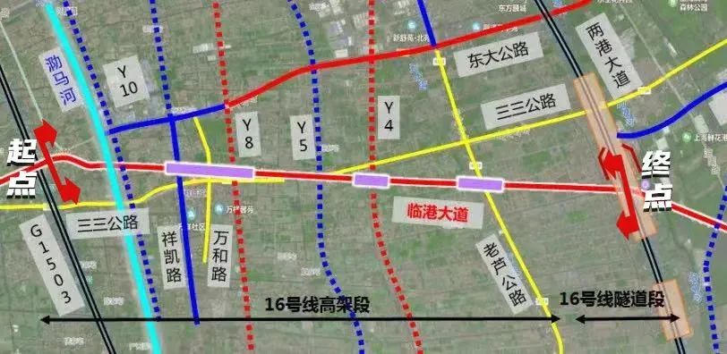 【提示】跨线桥主体结构全线贯通，临港大道（G1503-两港大道）节点改造工程有新进展_手机新浪网