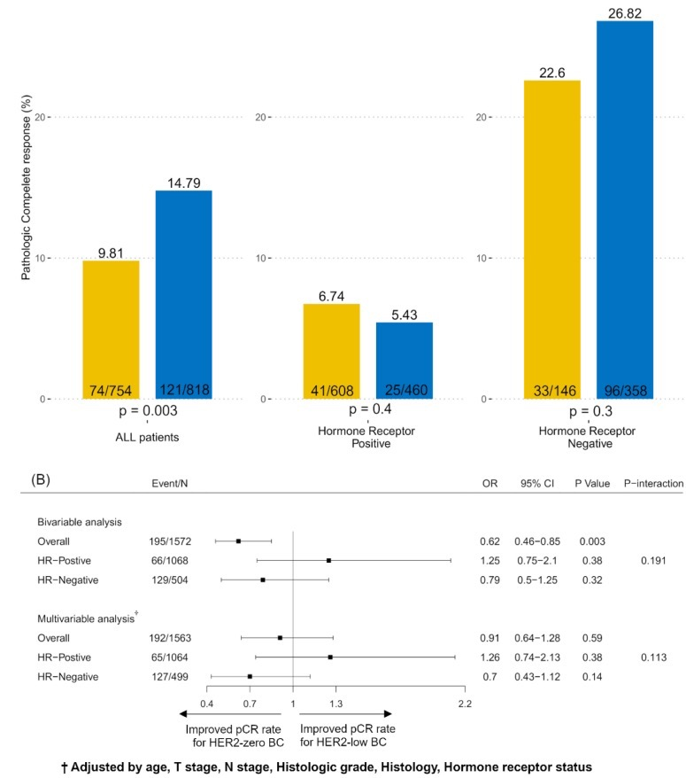 新辅助化疗后HER2-low与HER2 0乳腺癌的pCR、预后结局和复发模式有哪些异同_手机新浪网