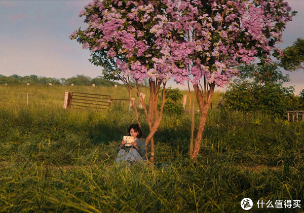 Netflix日剧《First Love 初恋》红什么？ 也许我们的人生里，总有最刻骨铭心的错过和遗憾__财经头条