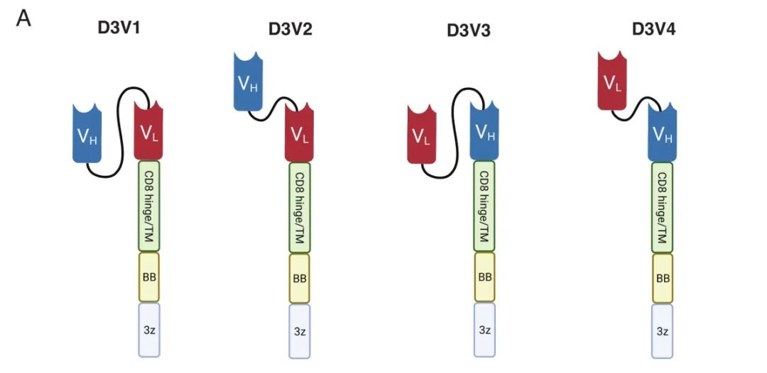 靶向GPC2的CAR-T细胞治疗有望成为儿童脑瘤新疗法