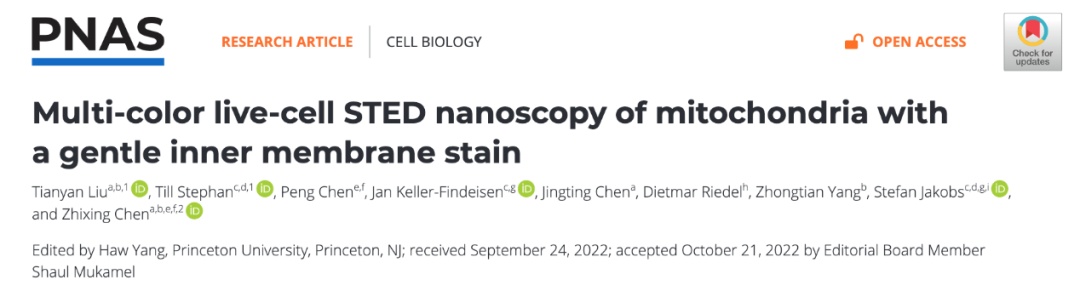 PNAS封面：北大陈知行团队研发新探针实现线粒体多色STED成像|显微镜|活细胞|北京大学_新浪新闻