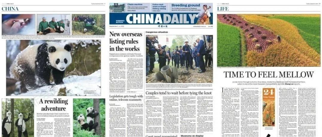 坚持用China Daily学英语2年，会有哪些收获？|英语|翻译_新浪新闻