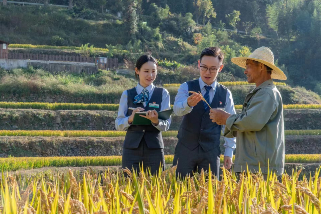 乡村振兴则国家稳健，农业银行以金融之笔绘现代乡村之美_手机新浪网