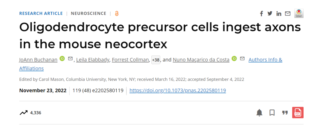 新的神经元修剪器|布坎南|数据库|细胞_新浪新闻