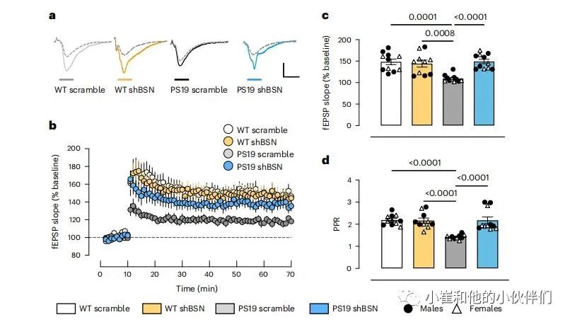 Nature Neurosci：一种有助于tau种子繁殖和神经毒性的蛋白