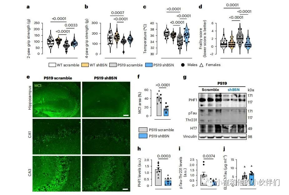 Nature Neurosci：一种有助于tau种子繁殖和神经毒性的蛋白