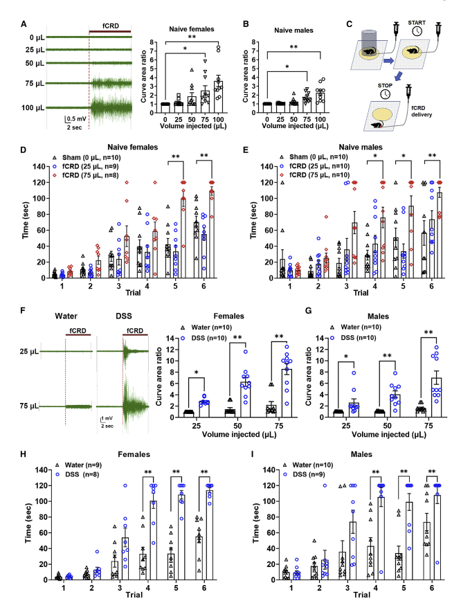Neuron：马秋富团队报道选择性地传递情感性内脏疼痛的脊髓通路