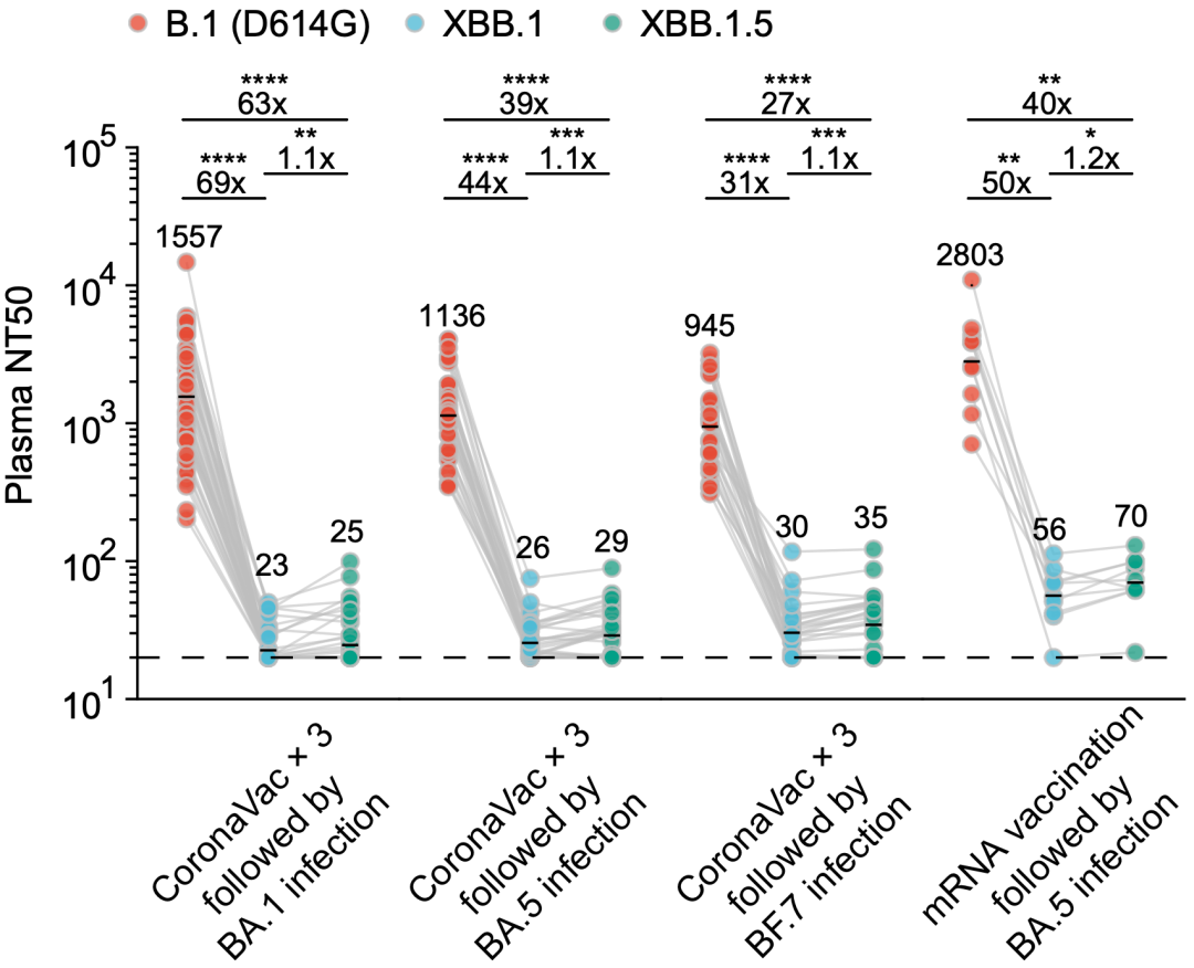 Nature解读史上最强免疫逃逸毒株！XBB.1.5席卷美国，如何科学预防__财经头条