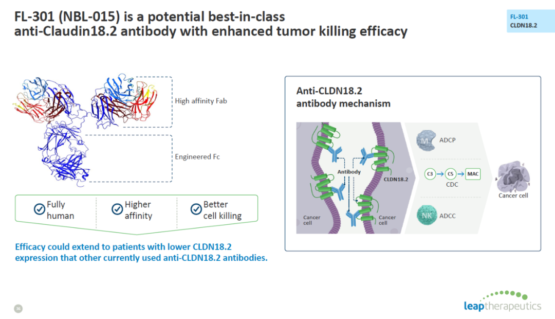 速递 | 囊获潜在“best-in-class”临床期Claudin18.2抗体，新锐扩展精准疗法管线|克隆_新浪财经_新浪网