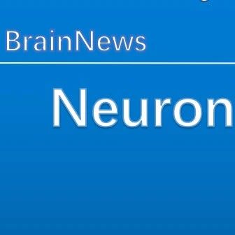 Neuron：杨俊华/邱照铸团队报道胶质细胞调控药物成瘾的新机制|突触_新浪新闻