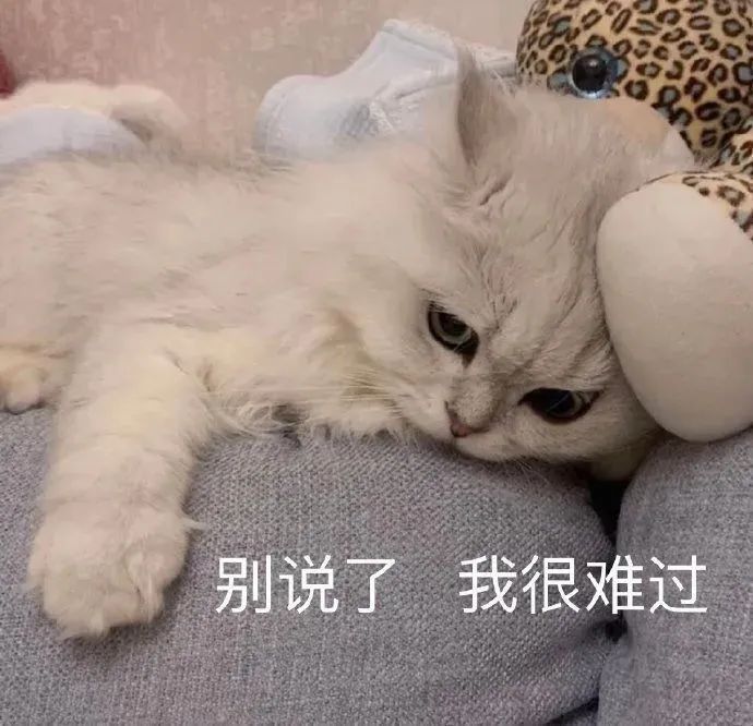 表情包来了 摸一下又不会怎么样 上你妈班，不上了 求求你……