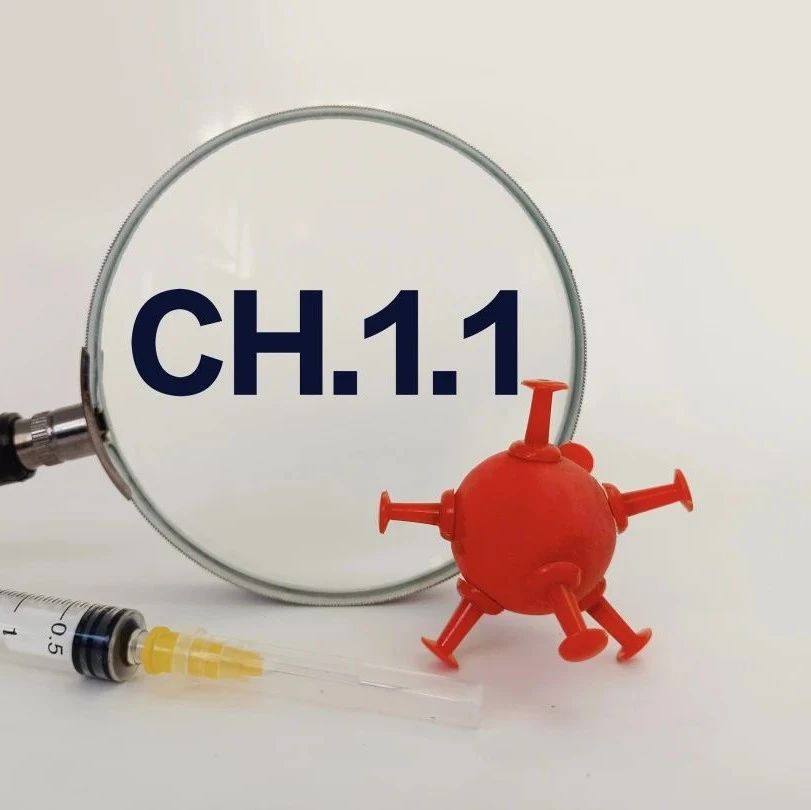 我国已发现24例！关于CH.1.1变异株，中疾控最新解读→|美国|新冠肺炎_新浪新闻