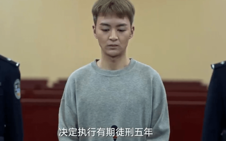 《狂飙》大结局:3人被判死刑,大嫂车祸真相揭露,关键卧底是她