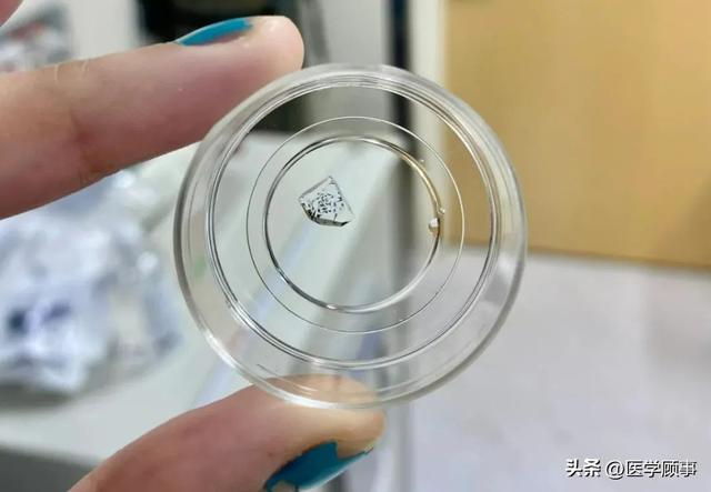 让细胞膨胀8000倍！耶鲁发明，肉眼也能看清细胞