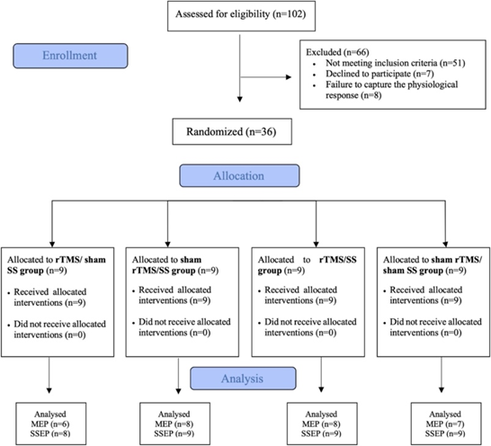 Frontiers in Neurosci: 重复经颅磁刺激（rTMS）研究新进展