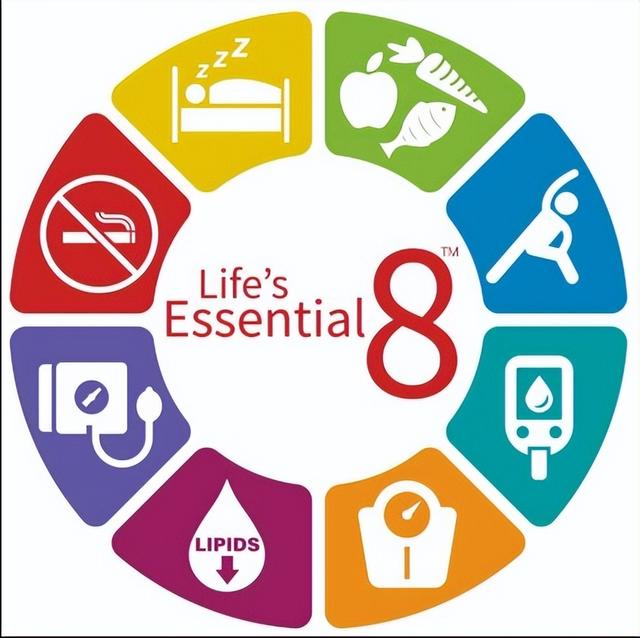 运动促进健康——回眸2022年体育与健康领域十大进展