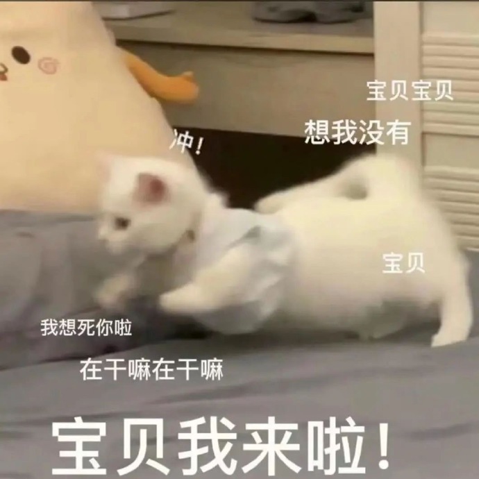 表情包来啦 今晚那个吗 一次，你又不行了 宝贝我来啦……