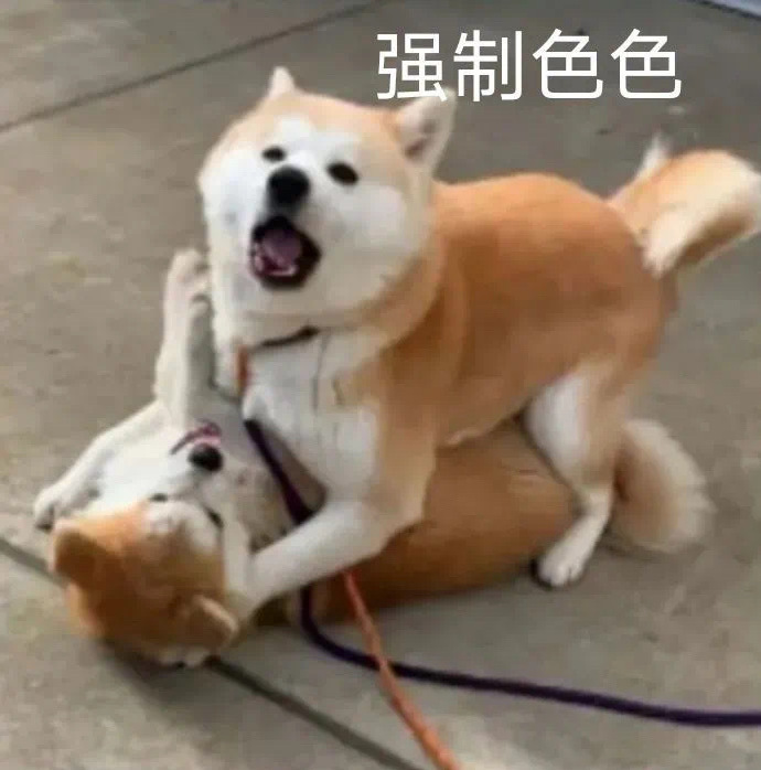 表情包来啦 今晚那个吗 一次，你又不行了 宝贝我来啦……