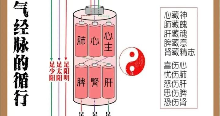 全面了解中医里的“宗气”、“卫气”、“营气”、“元气”|中医_新浪新闻
