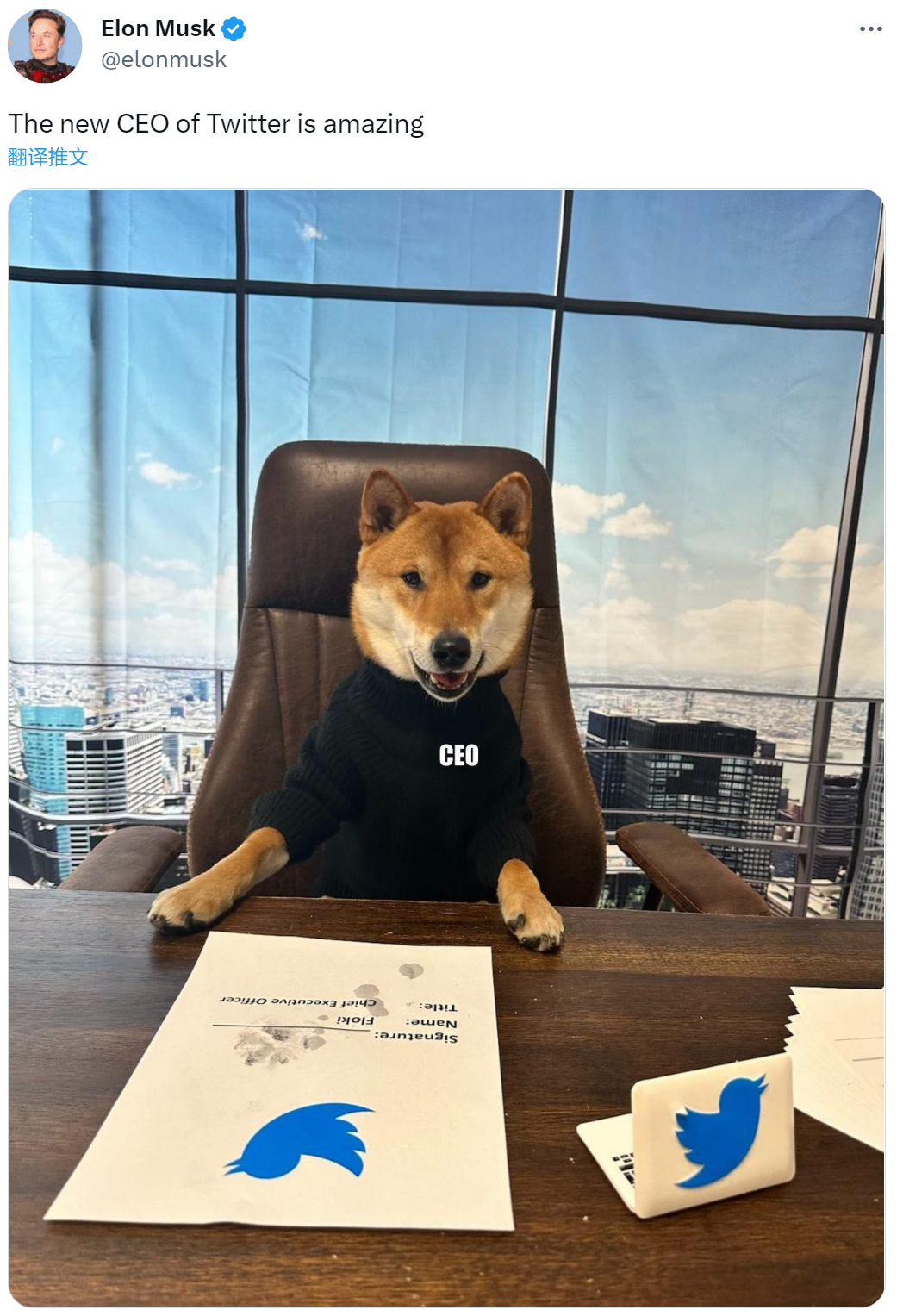 马斯克发文：它是推特新CEO！犬系加密货币被“带飞”！__财经头条