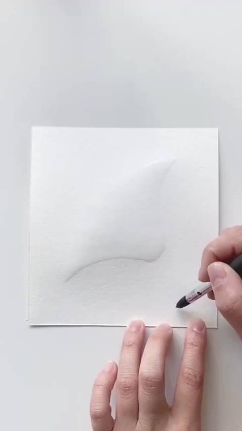 今日份创意：inky_meditations 画笔下水墨交融的海洋生物……|海洋生物_新浪新闻