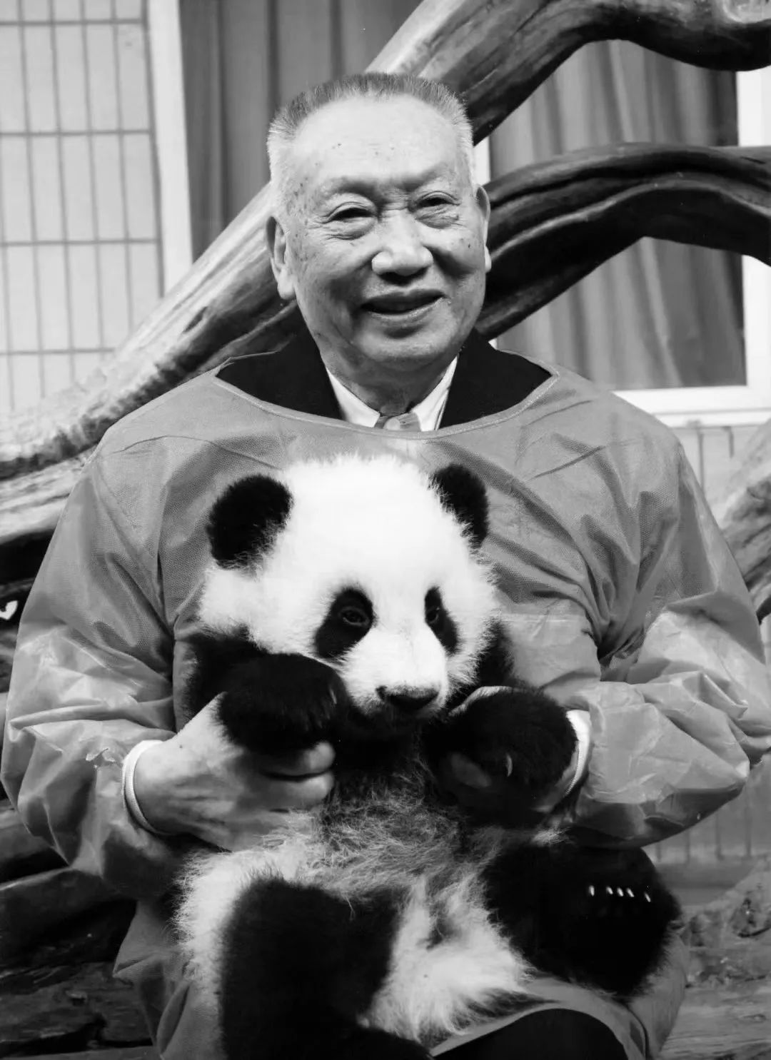 守护国宝的国宝，去了|大熊猫|四川_新浪新闻