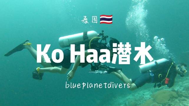 泰国兰塔岛出海，Ko Haa潜水，海底，与鱼儿玩耍……|泰国_新浪新闻