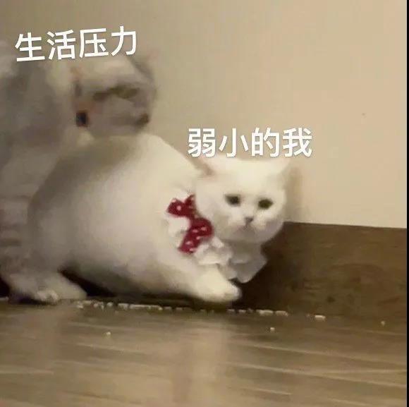 表情包 | word很大，你忍一下 拿图点赞、吱声|表情包_新浪新闻