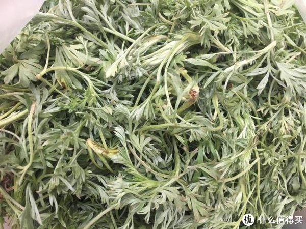 白蒿：想吃须趁早，错过时间成杂草