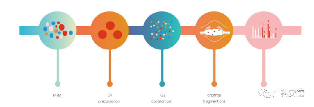 常见蛋白质组 TMT、Lable Free、PRM 怎么选？一表给你讲清楚