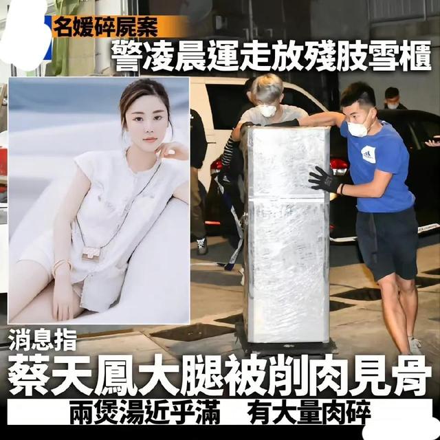 名媛蔡天凤遭碎尸最新后续:前夫落网,想偷渡出境,霸占上亿资产 香港 新浪新闻