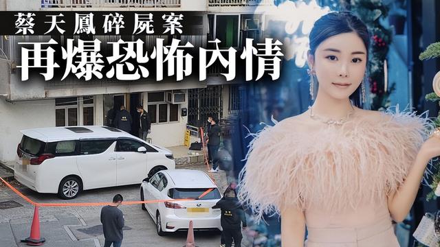 警方公布蔡天凤案最新细节:半米深的汤煲几近满泻,表层已凝固 法医 新浪新闻