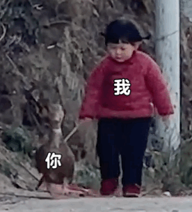 动图表情包来了|表情包_新浪新闻