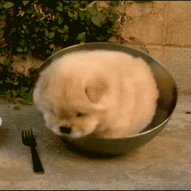 动图表情包来了（没眼看）|表情包_新浪新闻