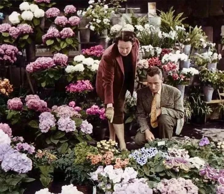 坚韧与脆弱并存，DIOR女性的新风貌 -6park.com