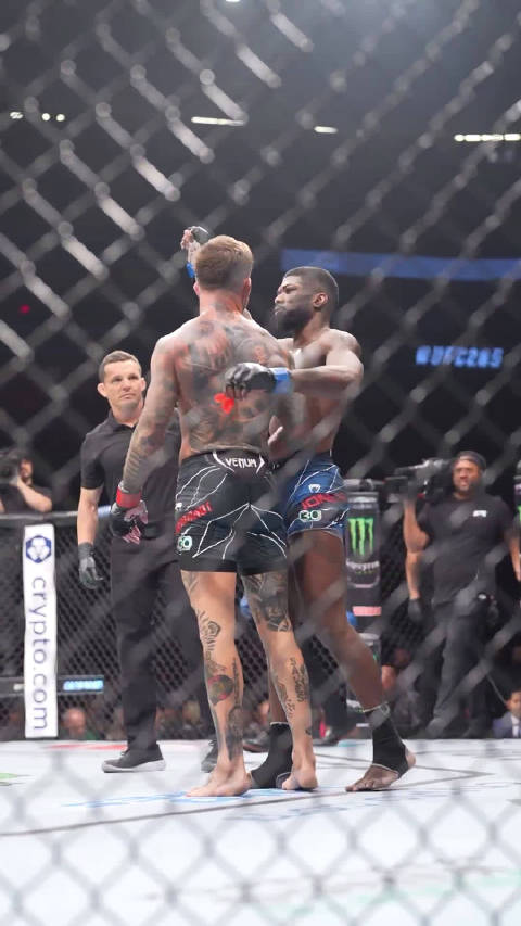 UFC285｜@咪咕视频 正在直播|科迪·加布兰特|加布兰特|科迪-加布兰特|琼斯|科迪_新浪新闻