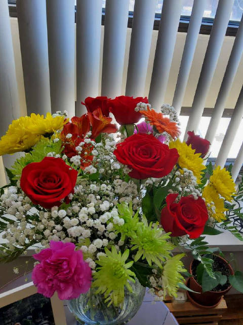 Happy Goddess Day! 世界因为有你而分外美丽，女神节快乐！|因为有你_新浪新闻