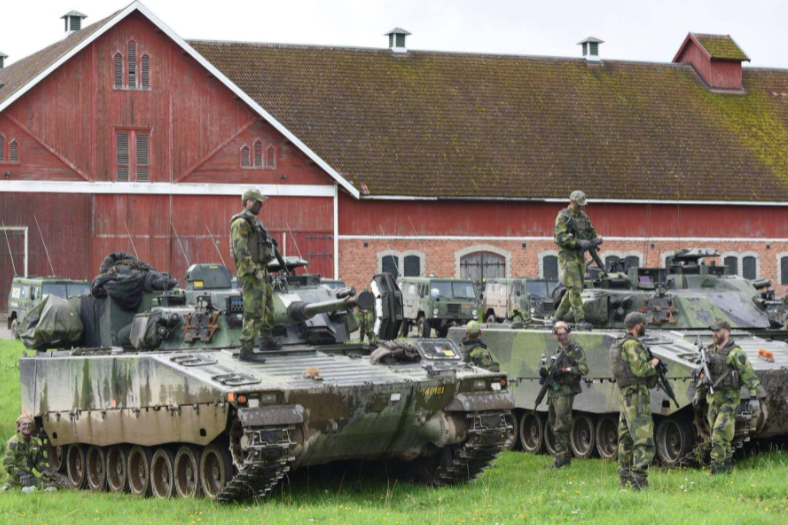 永久中立却浑身是刺！北欧小霸王瑞典M90迷彩外套，军武搞到了！