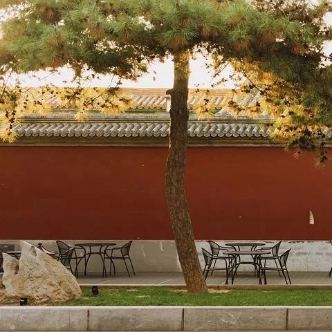 从ETL走向EtLT架构，下一代数据集成平台Apache SeaTunnel核心设计思路解析|数据集成|数据源|apache_新浪新闻