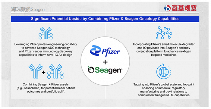 全球ADC行业最大并购案浮现，潜在中国赢家浮出水面|肺癌|辉瑞|管线_新浪新闻