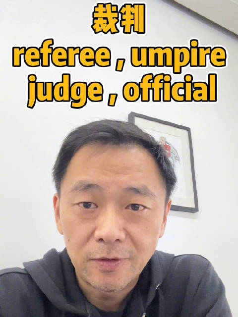 裁判，referee，umpire， judge和official_新浪新闻