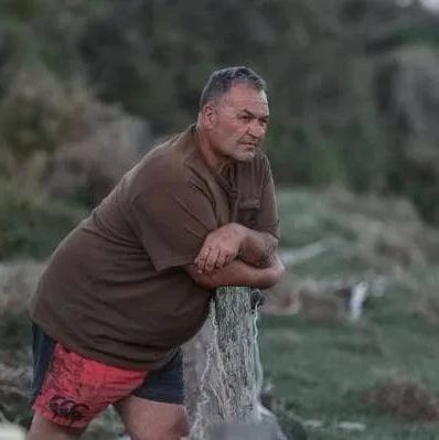 奇观！鳗鱼铺满新西兰海滩，本地人看到后痛哭……|环保部_新浪新闻